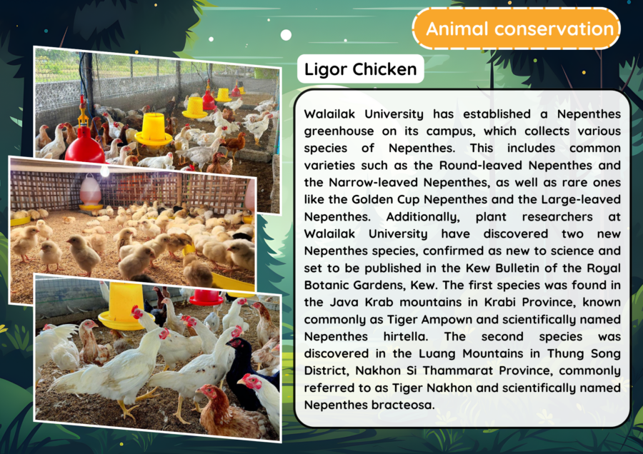 Conservation: Plant (Flora), Animal (Fauna), or wildlife, genetic ...