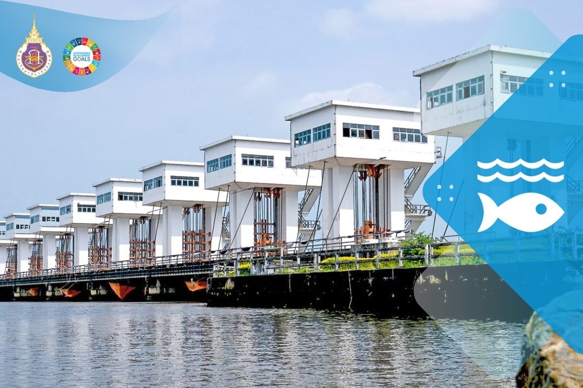 sdgs 14 – Walailak University Sustainable Development